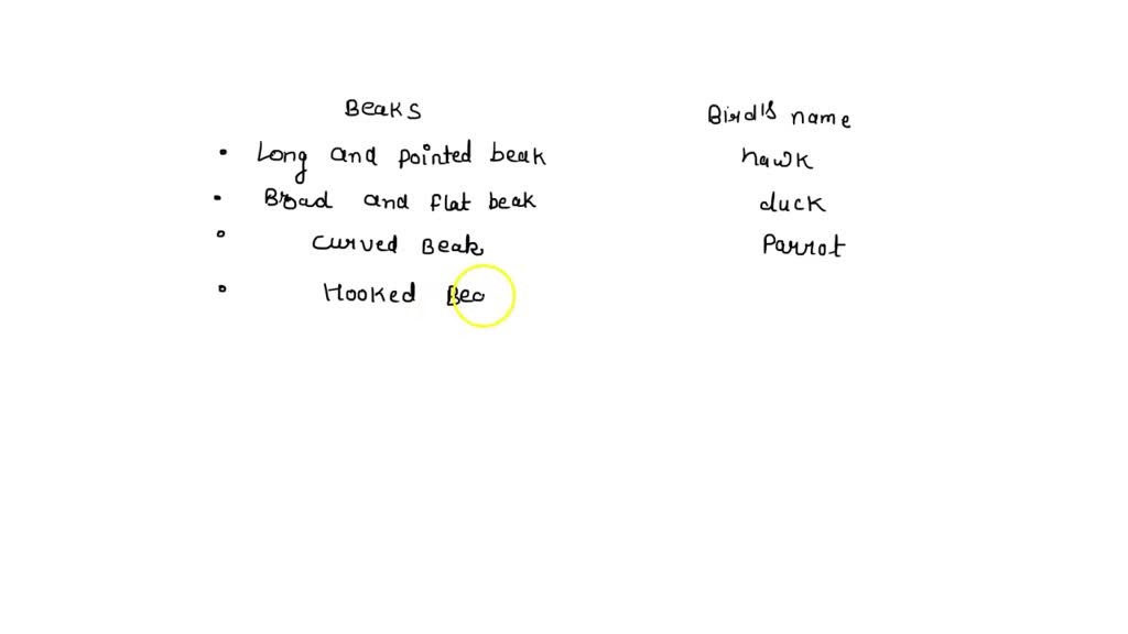 SOLVED: "ort out birds according to the different shapes of their beaks ...
