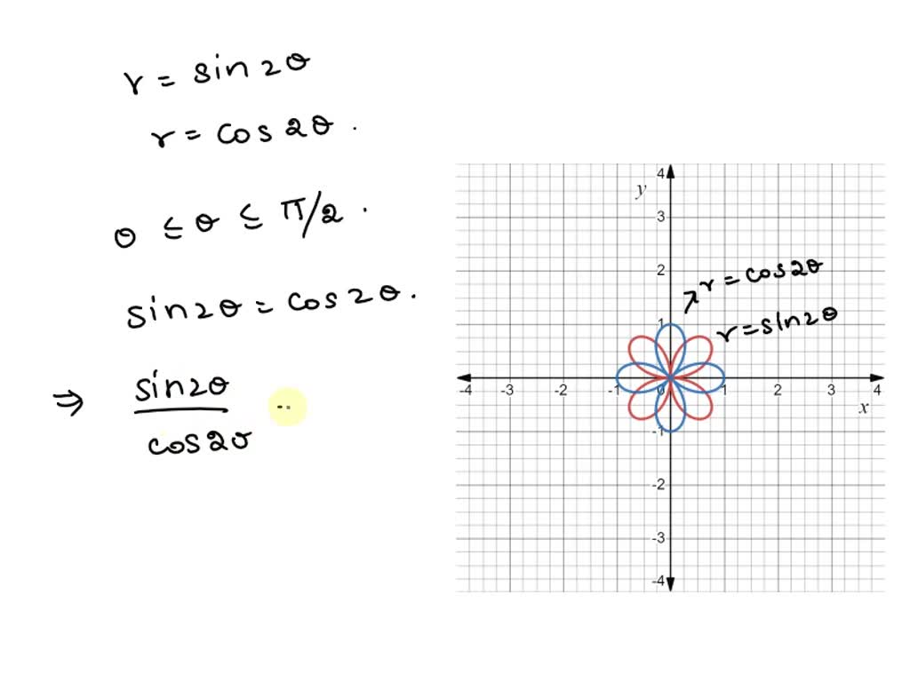 SOLVED 1 A On The Same Set Of Axes Sketch And Label The Graphs Of solved-1-a-on-the-same-set-of-axes-sketch-and-label-the-graphs-of