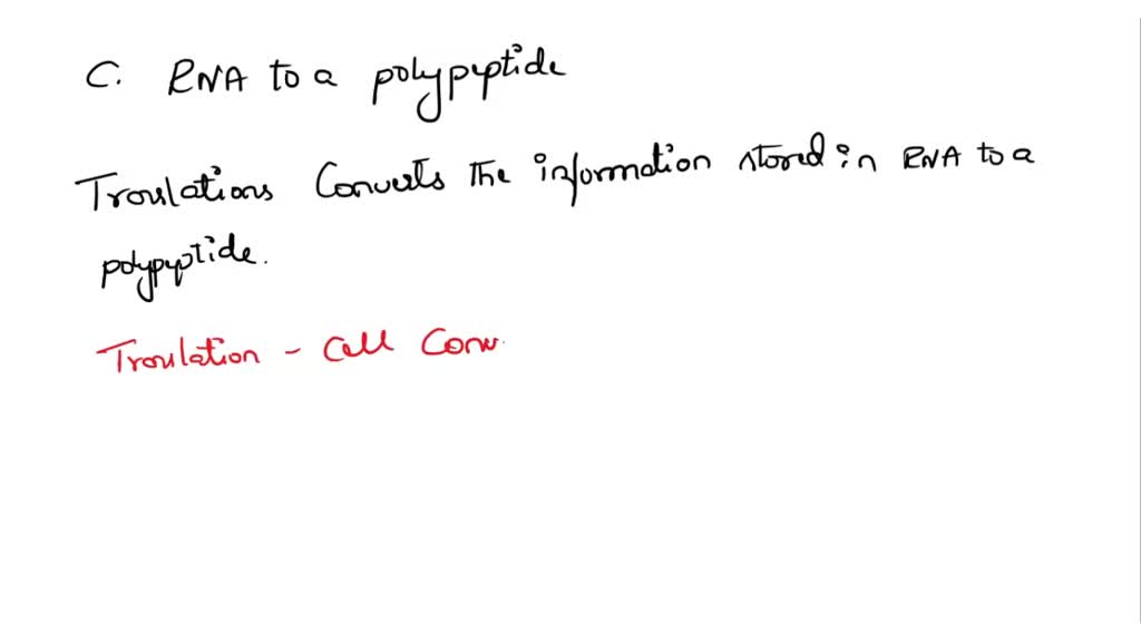 SOLVED: Translation converts the information stored in to RNA DNA DNA a polypeptide RNA a ...
