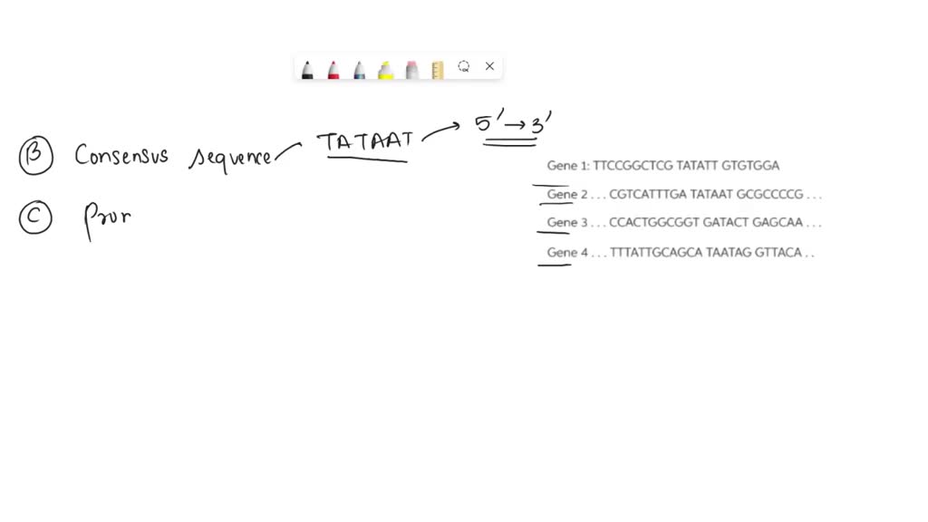 SOLVED: The pribnow box is . (select all that apply) The place where ...