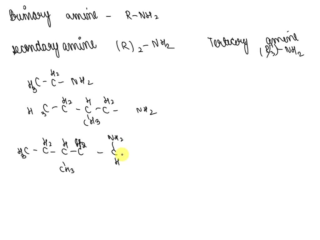 SOLVED: Primary amine Secondary amine Tertiary amine H3C-CH2-NH2 H3C ...
