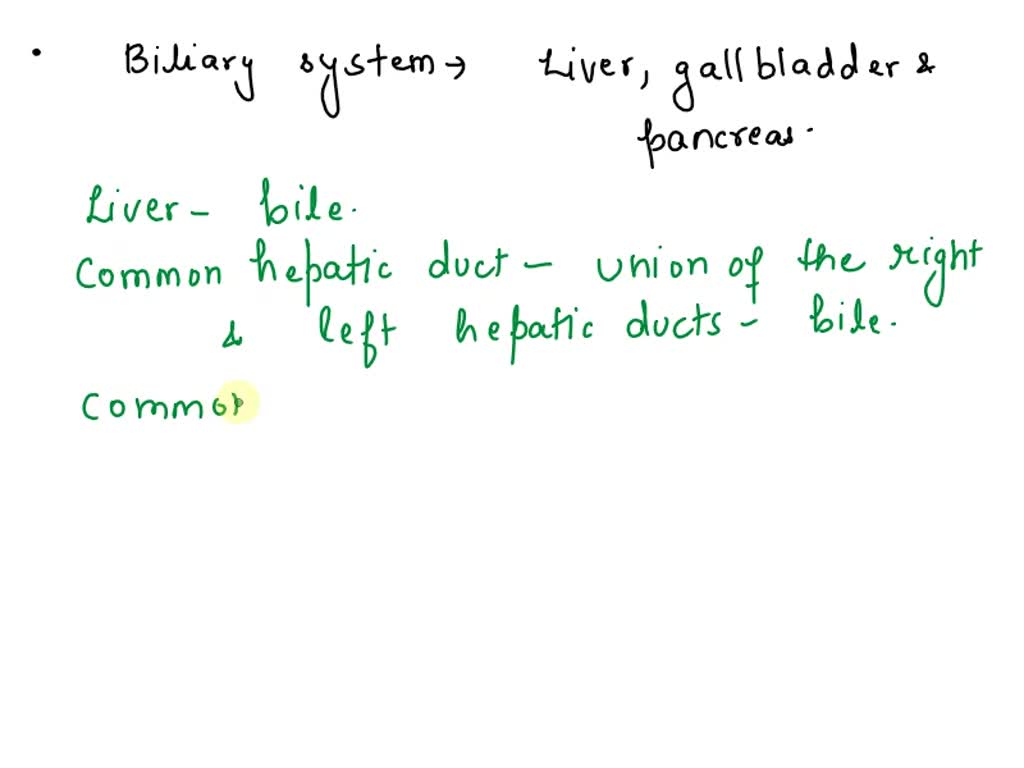 LT-W42508: Liver and Gallbladder. 38 Scientific 9 Identify the ...