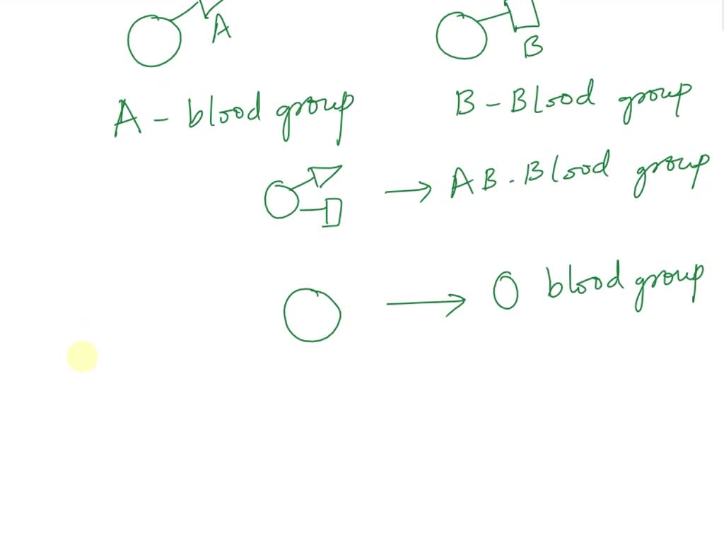 SOLVED: Question 15 (2 points) Latin How many phenotypes are there for ... SOLVED: Question 15 (2 points) Latin How many phenotypes are there for ...