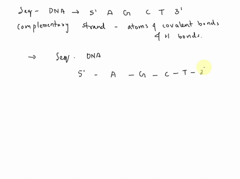 Draw the full structure of the DNA dinucleotide 5'-GT-3' and...