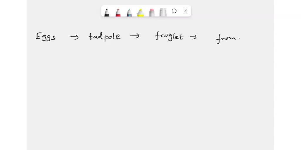 The diagram shows the process of metamorphosis in a frog. It includes ...