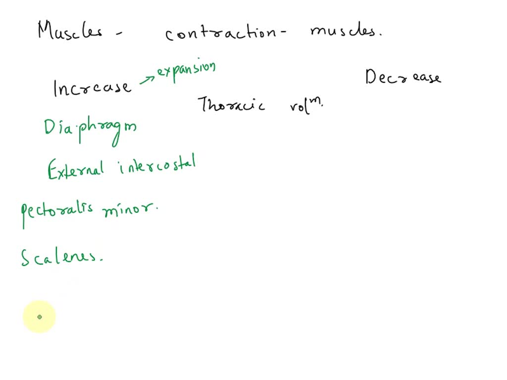 SOLVED: The potential effects of contraction of RC inspiratory and ...