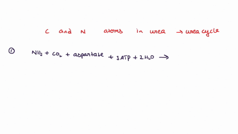 The structure of urea is a. What substances are the sources of each of ...