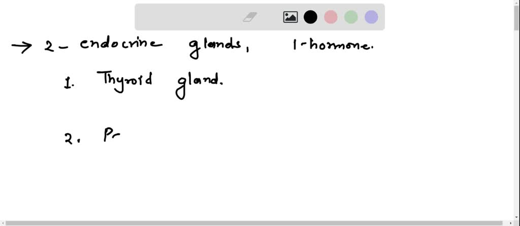 Solved 11 Select A Set Of Numbers For Glands And Hormones That