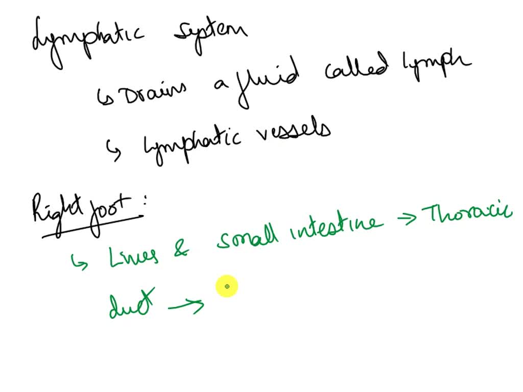 SOLVED: Texts: At the thymus, anping PROCEDURE: Tracing the Flow of ...