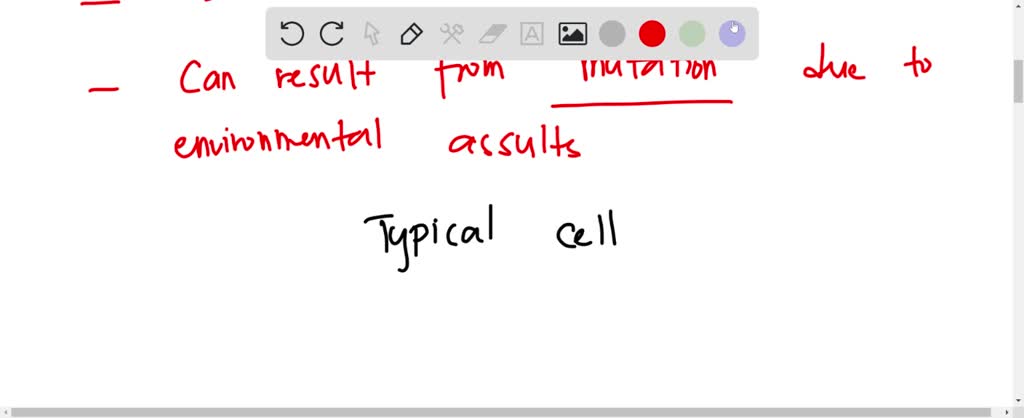SOLVED: Classify the following characteristics of cells as occurring in a typical cell cycle or ...