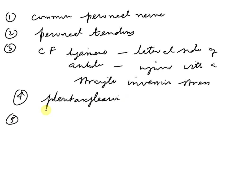 SOLVED: What anatomical structures pass through the tarsal tunnel ...