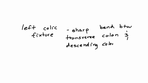 To which of the following structures is the left colic...