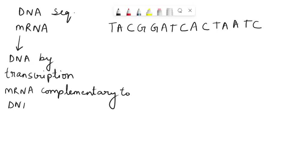 SOLVED: Texts: Enter the corresponding section of mRNA produced from ...