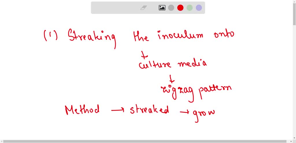 SOLVED: 1. Why is it necessary to streak the inoculum onto the culture ...