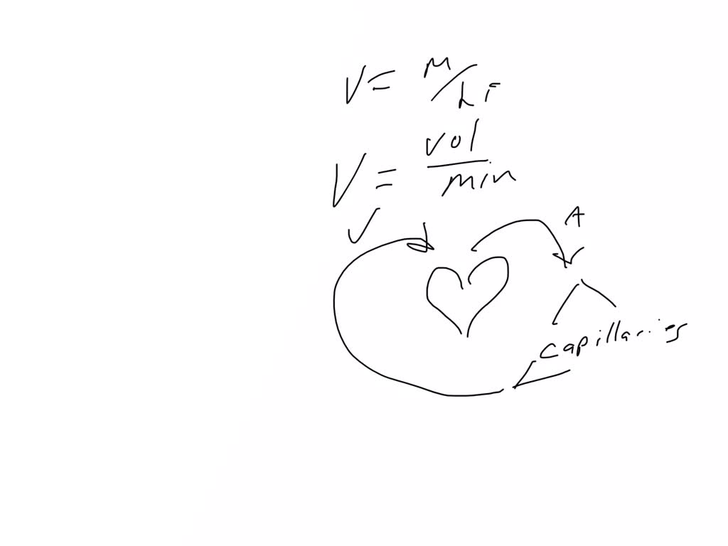 SOLVED: Why is the velocity of blood flow faster in arteries and veins ...