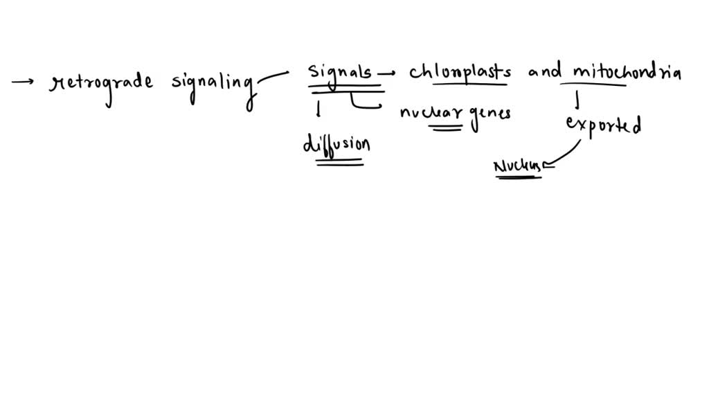 SOLVED: What is retrograde signaling (retrograde neurotransmission) and ...