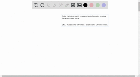 Place the following structures in order from least to most complex organization: chromatin ...