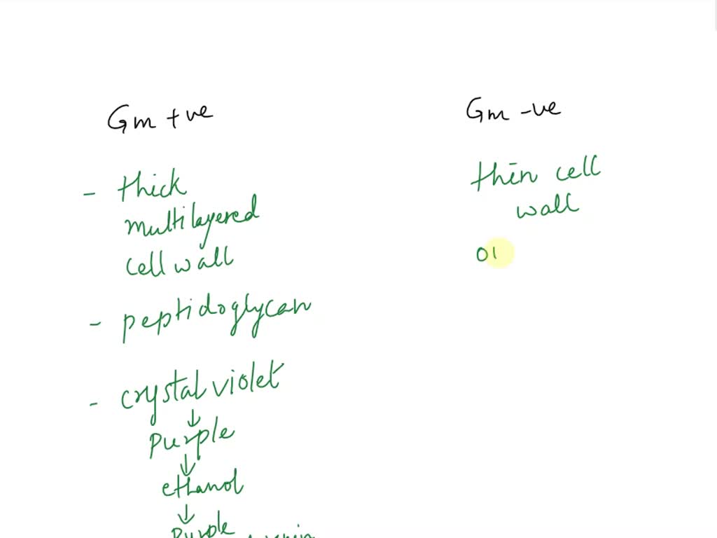 SOLVED: Differentiate between Gram-positive and Gram-negative bacteria.