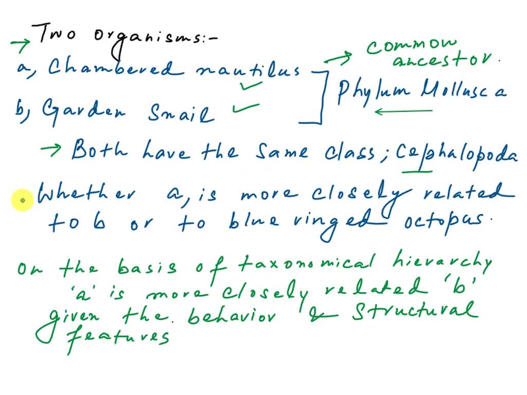 SOLVED: 10. The chambered nautilus and the garden snail both belong to ...