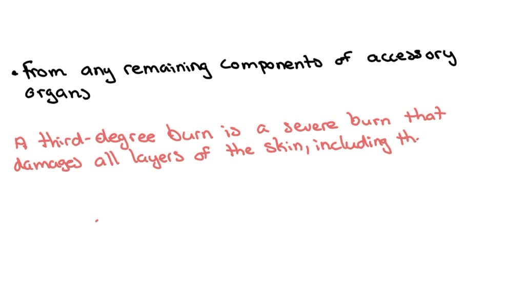 SOLVED: In a 3rd degree burn, where does new epithelium come from that ...