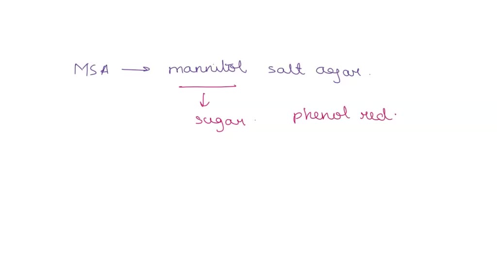SOLVED: You have an unknown bacterium. You decide to plate it on an MSA ...