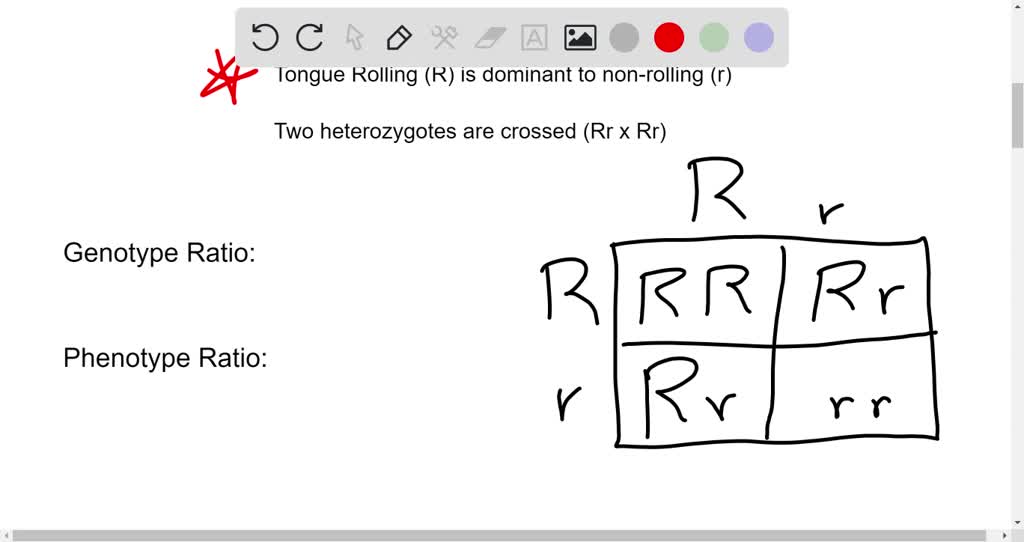 SOLVED: Complete the Punit square for the following parental cross ...