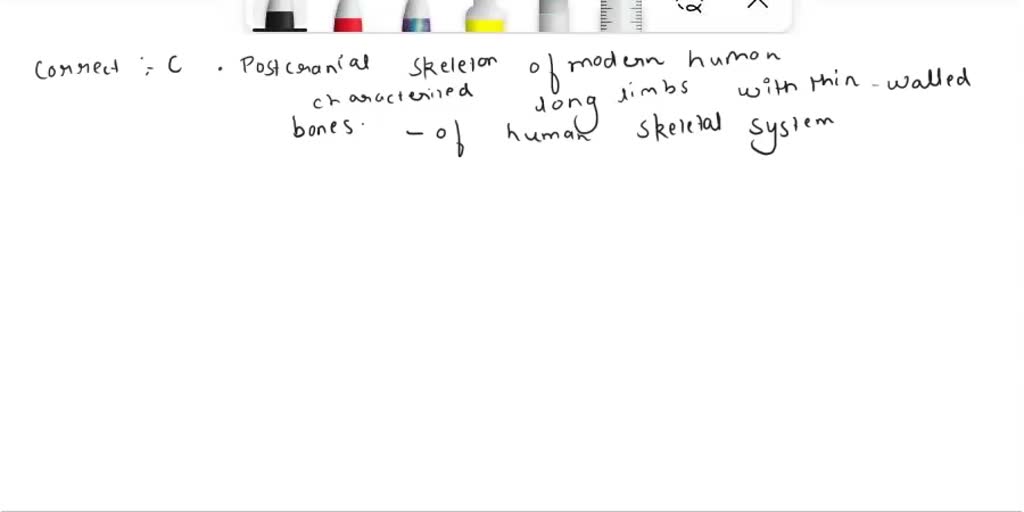 SOLVED: The postcranial skeleton of modern humans: A. is more robust ...