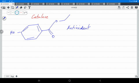 Review questions explain why the enzyme catalase is...