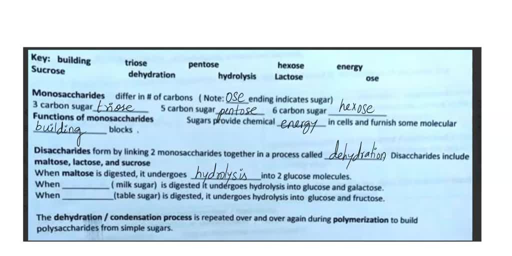 SOLVED: Text: Key: building Sucrose triose pentose dehydration ...