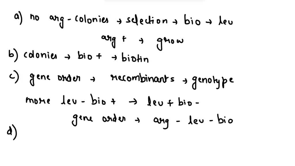 SOLVED: A cross is made between two E. coli strains: Hfr arg+ bio+ leu+ x F- arg- bio- leu ...