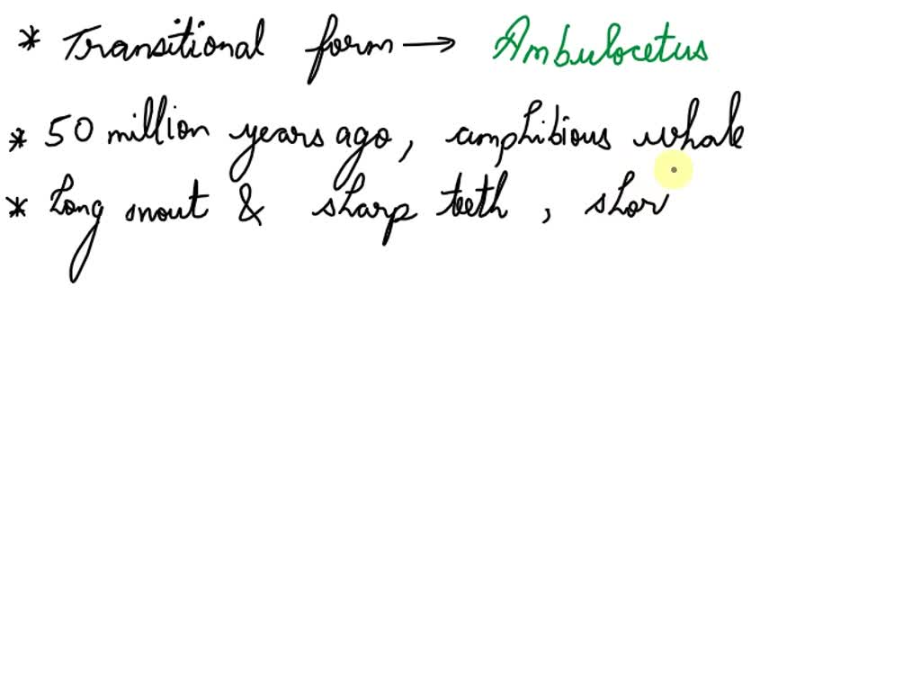 SOLVED: What was the transitional form between Pakicetus and modern-day ...