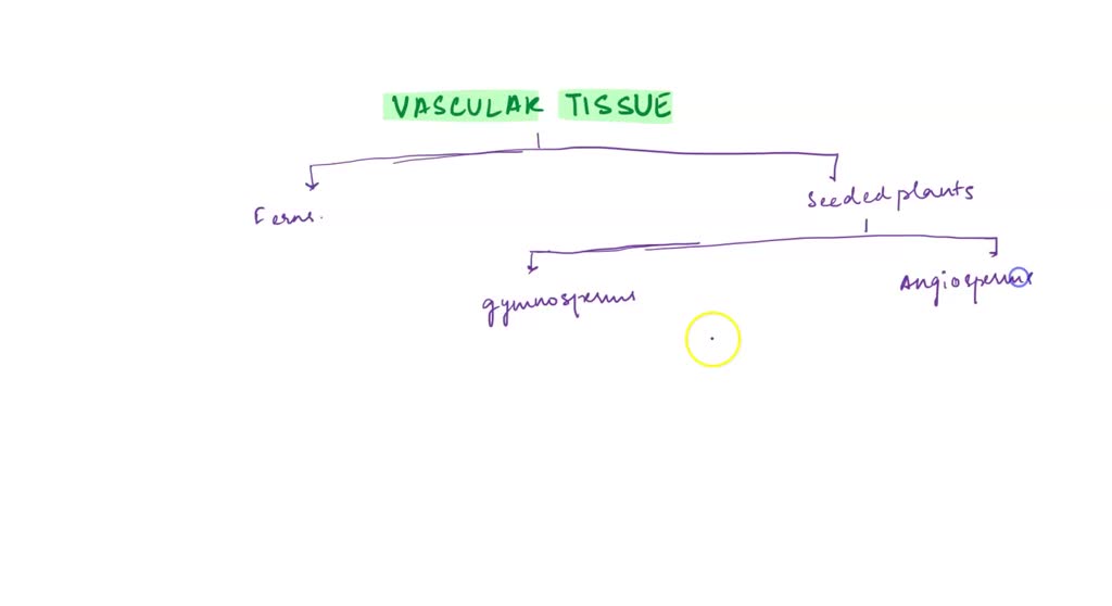 SOLVED: Thinking Critically 1. Fill in the proposed phylogenetic tree ...