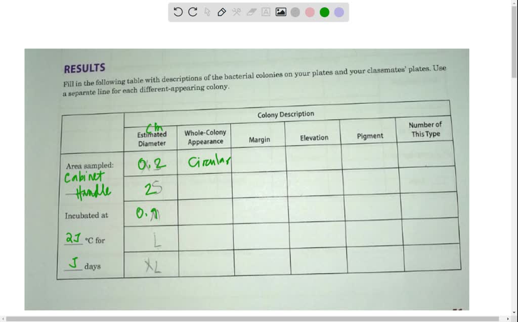 SOLVED: Observations and Results PART A: Isolation of Discrete Colonies ...