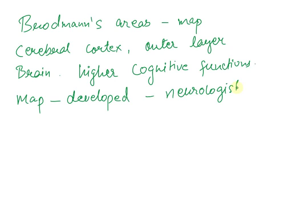 SOLVED: Concept map funcional areas of the cerebrum