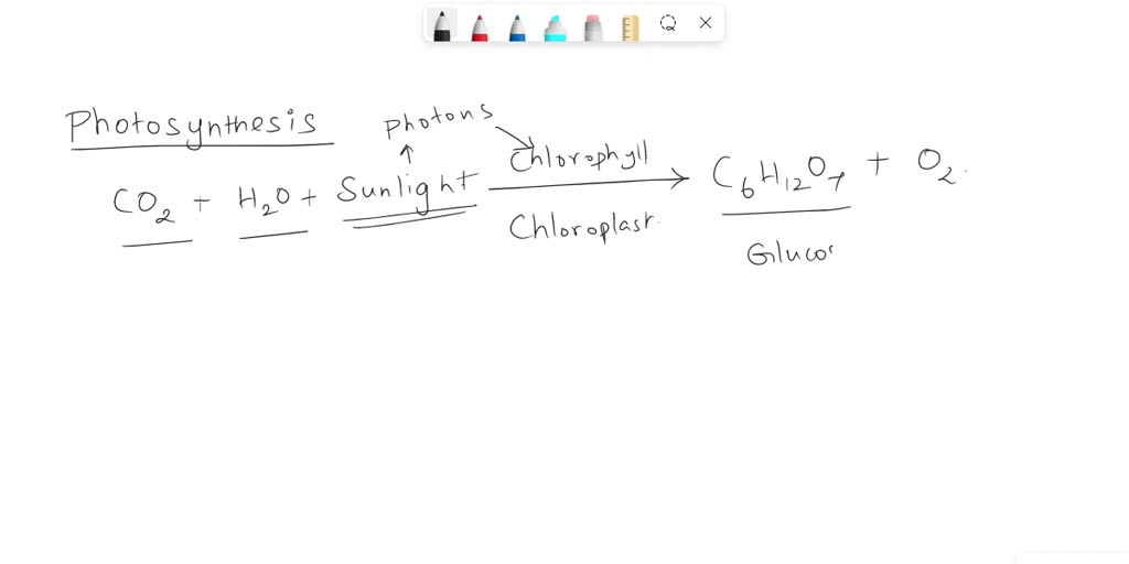 SOLVED: Which two substances are the products of photosynthesis? A. Carbon dioxide and Glucose B ...