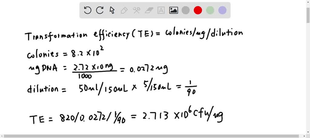 SOLVED: You add (2.7200x10^0) ng of plasmid DNA in 50 µL to 100 µL of ...