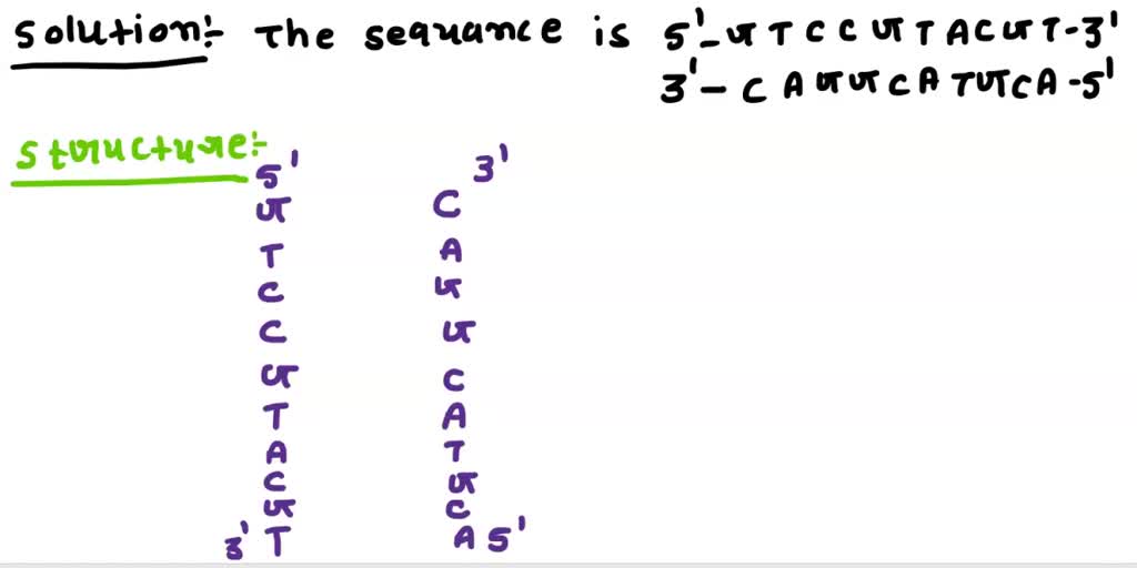 SOLVED: Write the molecular structure of the following DNA sequence and ...