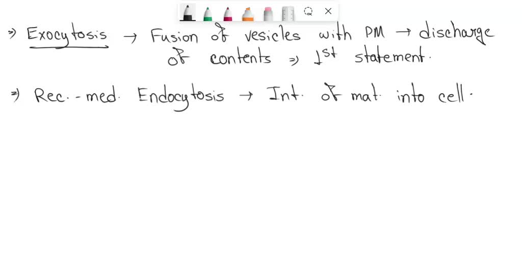 SOLVED: Bulk movement paragraph Match the correct term to the type of ...