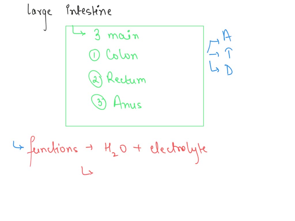 SOLVED: This figure shows the three main components of the large ...