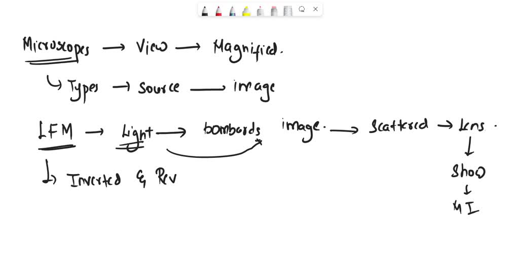 SOLVED: Images observed under the light microscope are reversed and ...