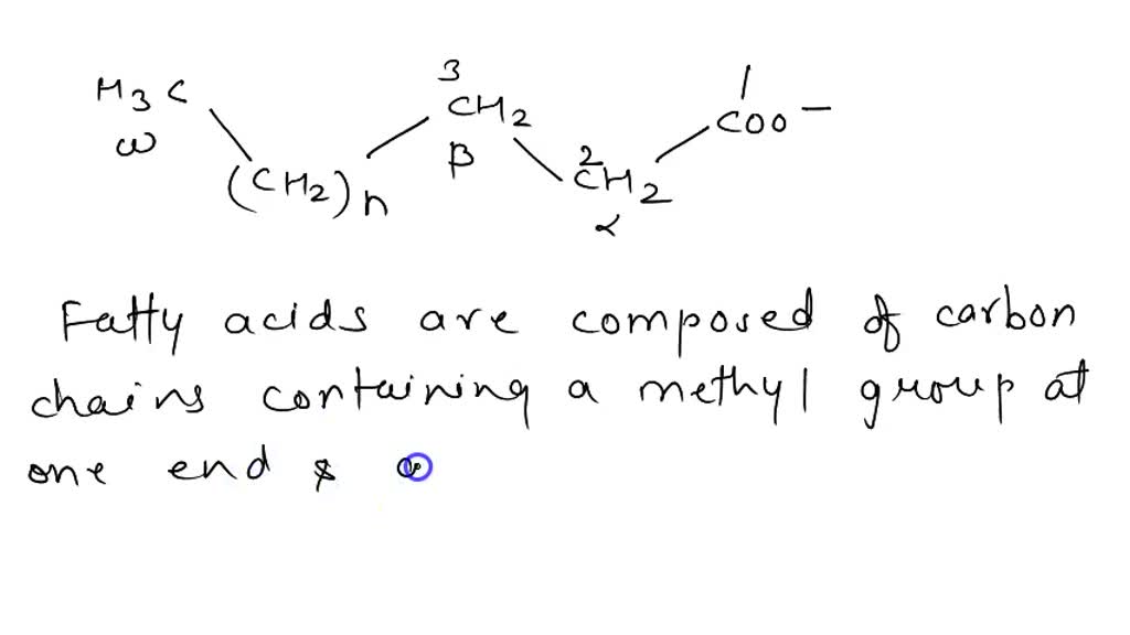 Why Do Unsaturated Fatty Acids Have Lower Melting Point At Donna