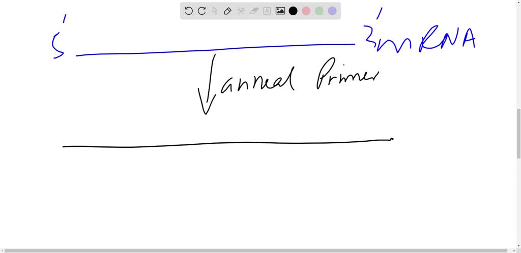 SOLVED: In the microarray procedure; what molecule is labeled with a fluorescent tag? Multiple ...