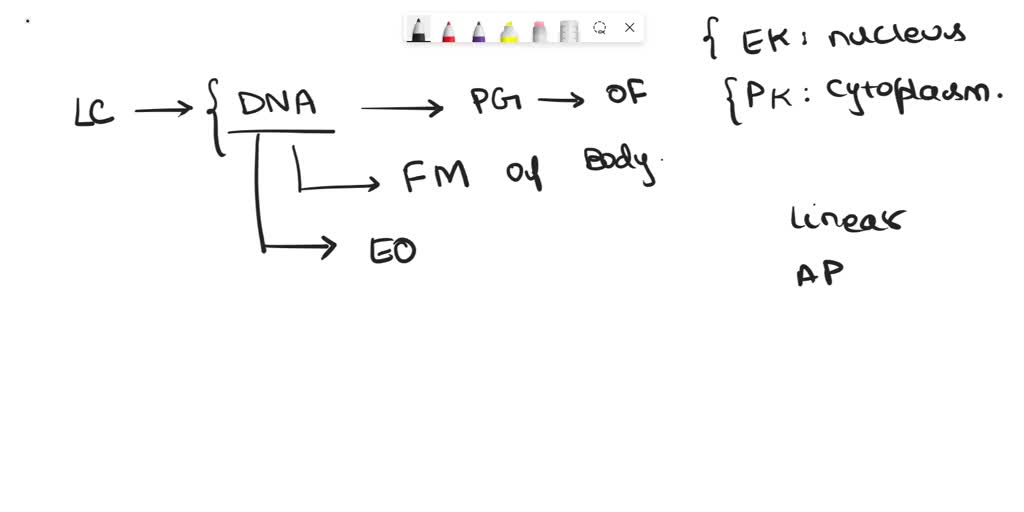 Solved Step 1 Identify The Characteristics Of A Genetic System With A Maternal Effect Which