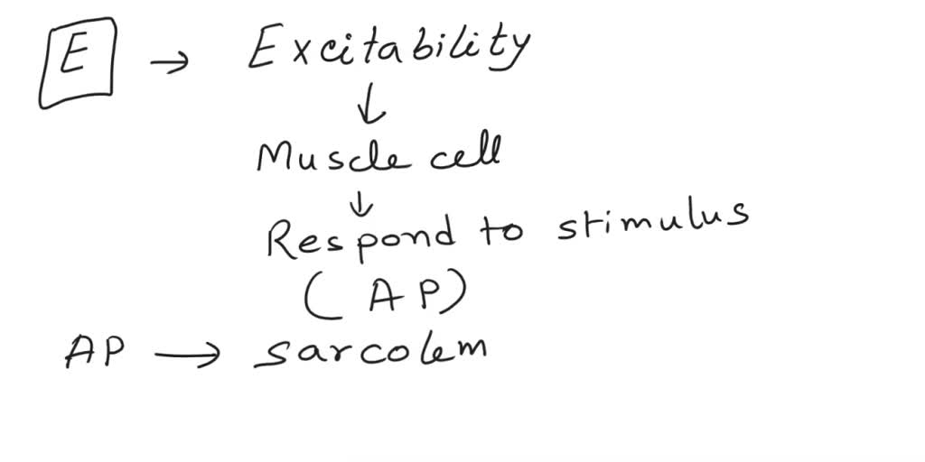 SOLVED: Which functional characteristic of muscle is required before ...