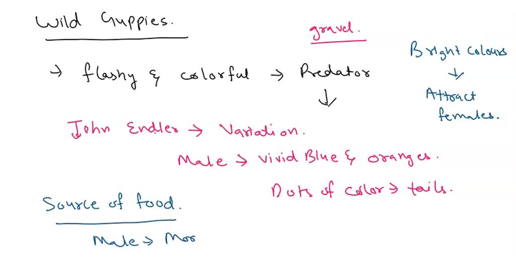 SOLVED: In John Endler's experiments on guppy coloration, how did the ...
