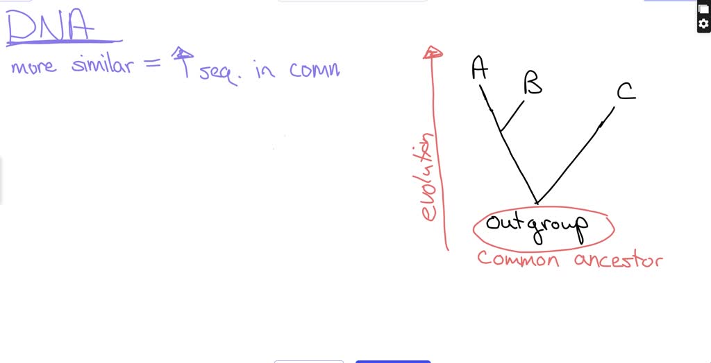 SOLVED: In this lab, which biomolecule was used to construct the ...