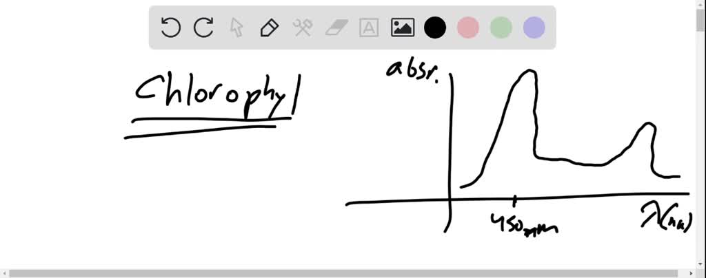 SOLVED: Which spinach leaf pigment is most important in the process of ...