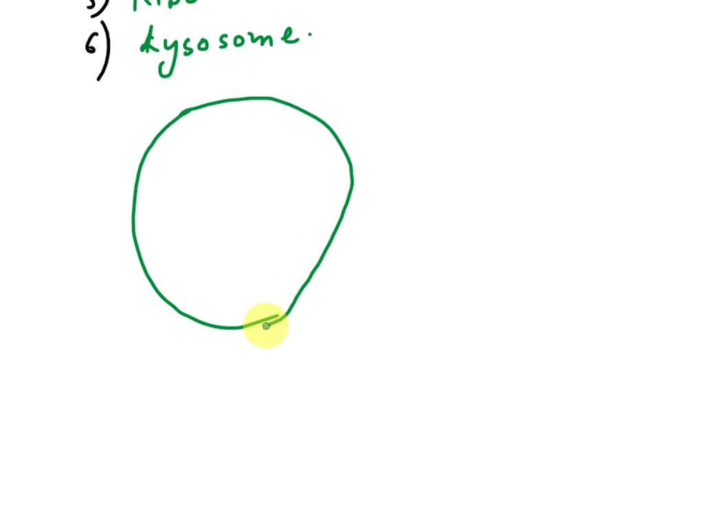 SOLVED: Cell/Virus Components Tracing Guide Cell Shapes