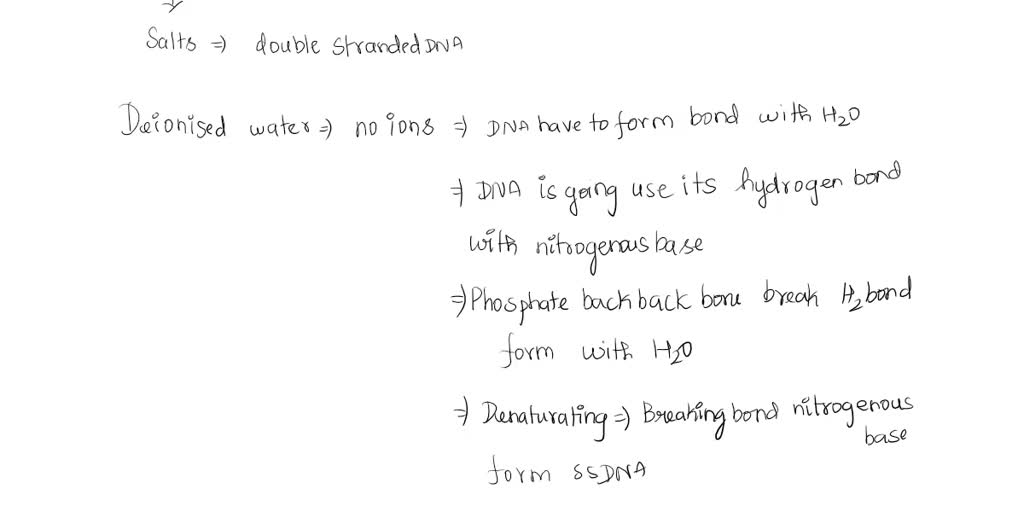 SOLVED: Does water stabilize the single stranded or the double stranded ...
