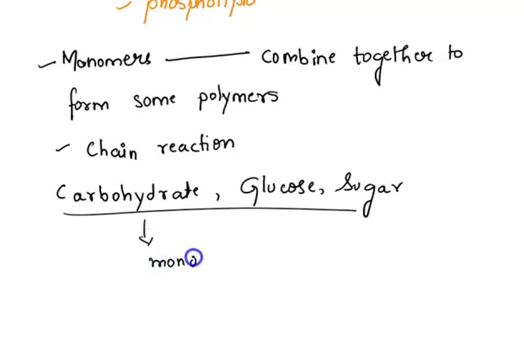 SOLVED: What is the concept map of the following: amino acid ...